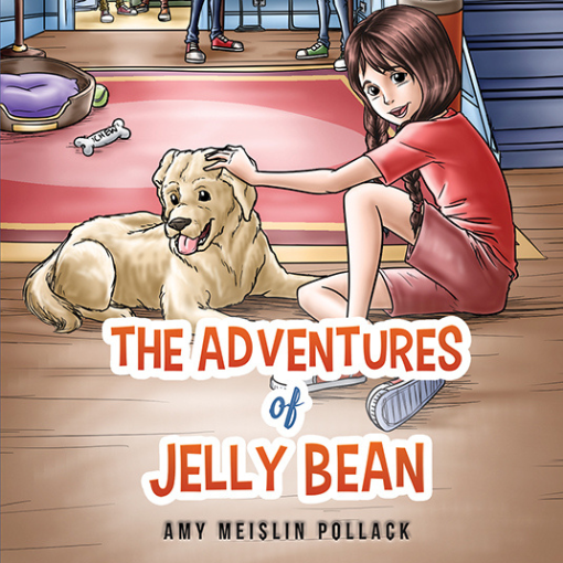 Meet the Author: Amy Pollack - Pier Village
